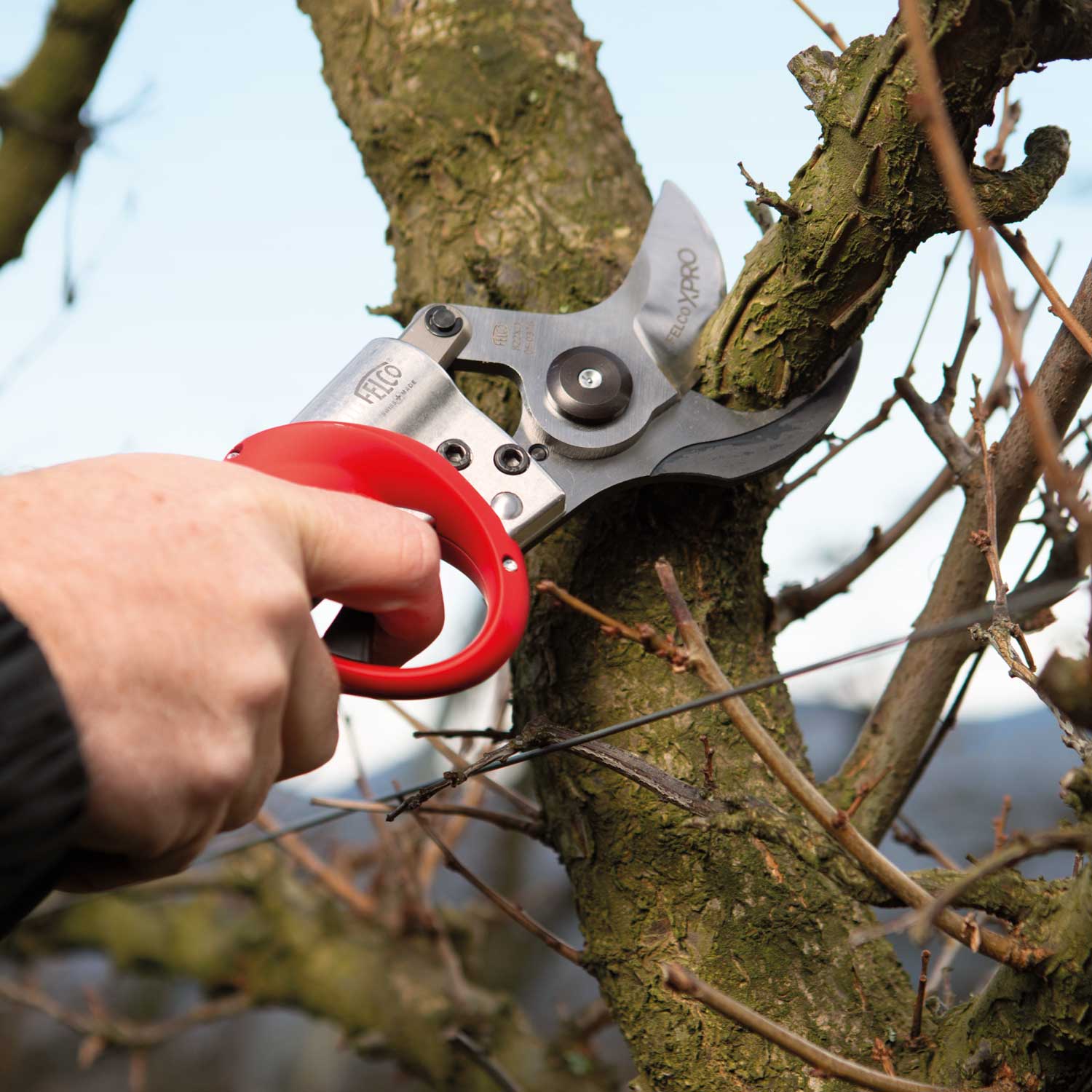 Felco 822 Elektrische Baumschere